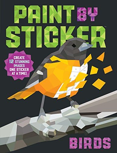 Amazon | Paint by Sticker: Birds: Create 12 Stunning Images One Sticker ...