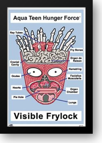 Amazon.com: Aqua Teen - Frylock 28x40 Framed Art Print: Artwork ...