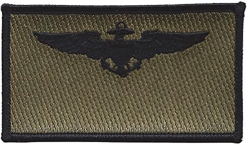 Amazon.com: Air Force Pilot Wings Name Patch Silver and Black ...