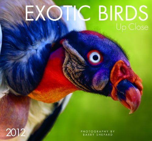 2012 Exotic Birds Wall calendar: Zebra Publishing Corp.: 9781554564880 ...