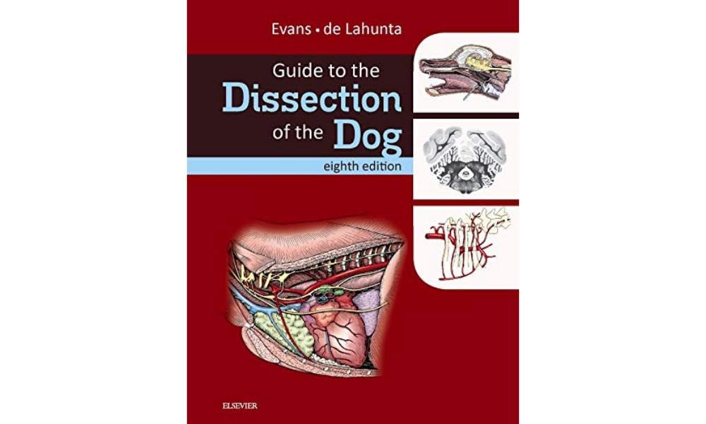 Guide to the Dissection of the Dog: 9780323391658: Medicine & Health ...