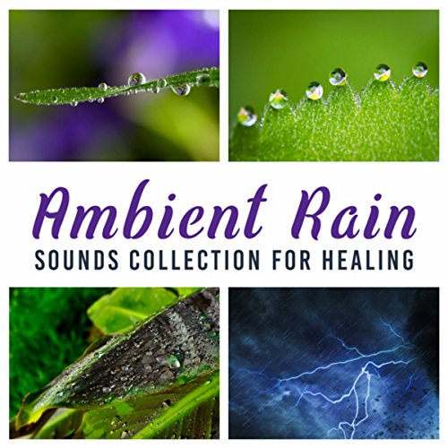 Ambient Rain Sounds Collection for Healing – 50 Tracks for Deep Sleep ...