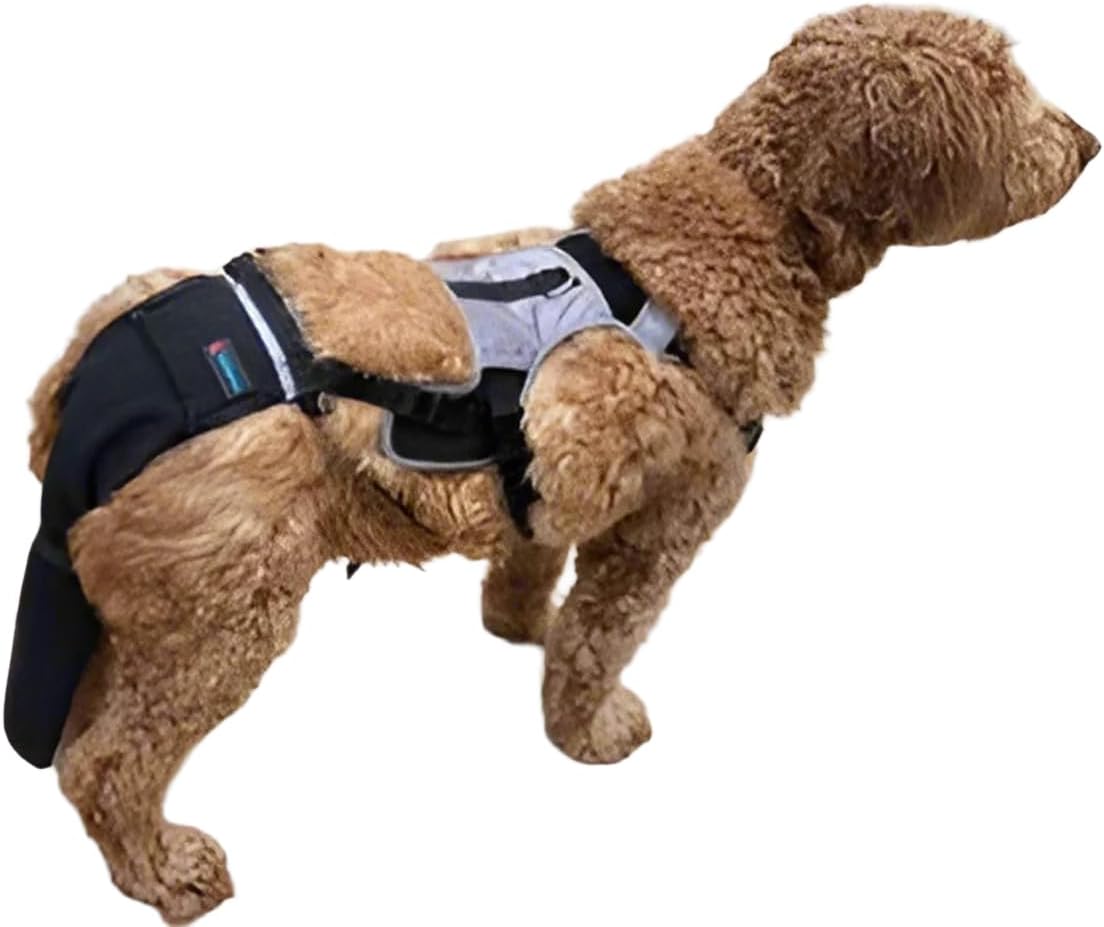 Amazon.com : K9 TailSaver® Dog Tail Protector,USA Owned,Protects ...