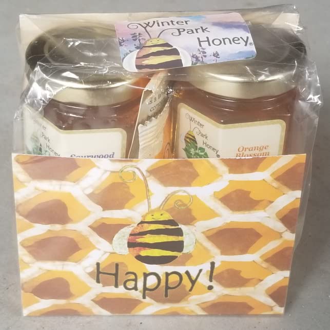 Amazon.com : Raw Honey Sampler 4 x 2oz Gift Set : Grocery & Gourmet Food