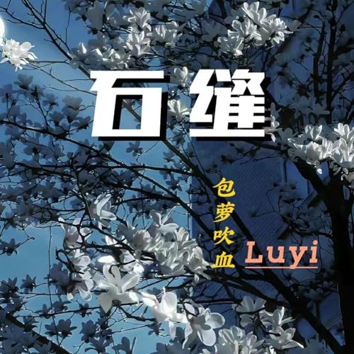 Amazon Musicで包萝吹血 & Luyiの石缝を再生する