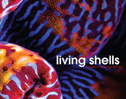 Book review of Living Shells - Readers' Favorite: Book Reviews and ...