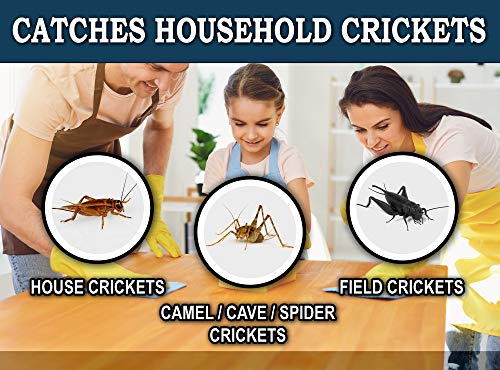 MaxGuard Extra Large Cricket Traps (8 Traps) | Non-Toxic Extra Sticky ...
