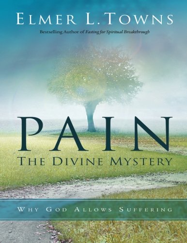 Pain: The Divine Mystery: Why God Allows Suffering: Towns, Elmer L ...