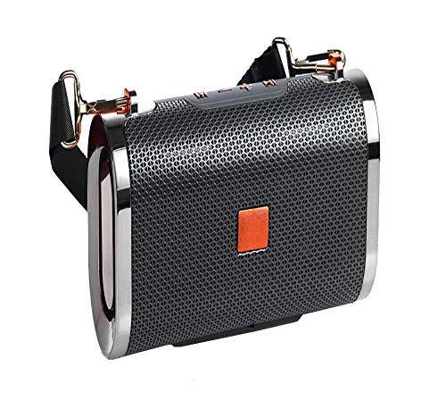 TAGER Sleek Portable Wireless Bluetooth Speaker with Dual Woofer, FM ...