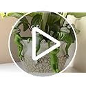 Amazon.com: JARPSIRY Cute Climbing Frog Figurines Flower Pot Hugger ...