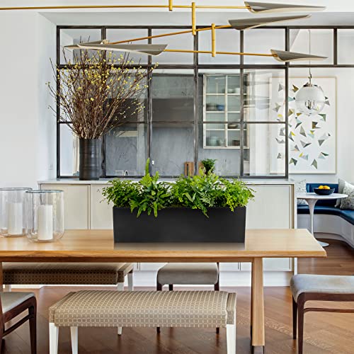 Snapklik.com : Sanbege 17 Large Stainless Steel Planter Box