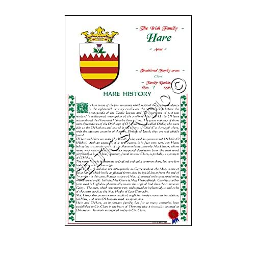 Amazon.com: O'Hare Irish Family History : Home & Kitchen