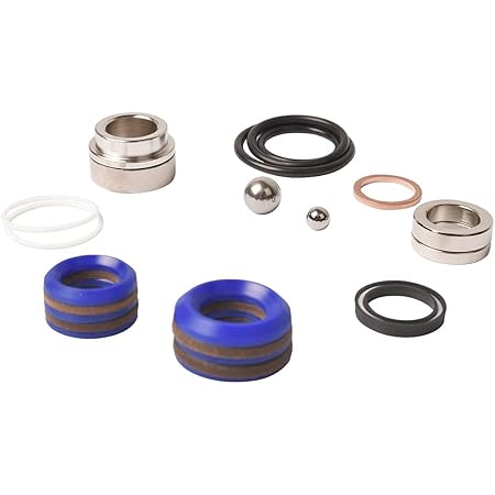 Graco 244194 Pump Repair Packing and Valves Kit for Airless Paint Spray ...