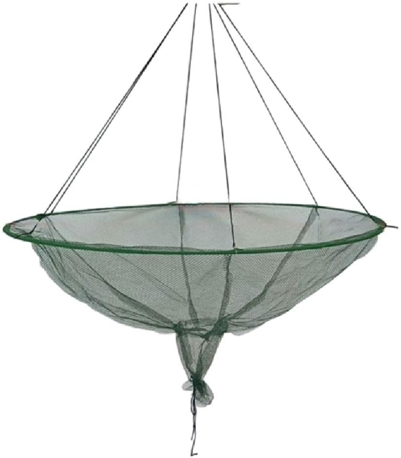 Amazon.com : Portable Foldable Fishing Net for Prawn, Crab, Shrimp ...