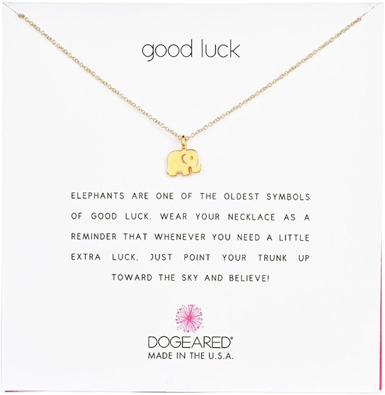 Amazon.com: Dogeared Reminder "Good Luck" Gold-Plated Sterling Silver ...