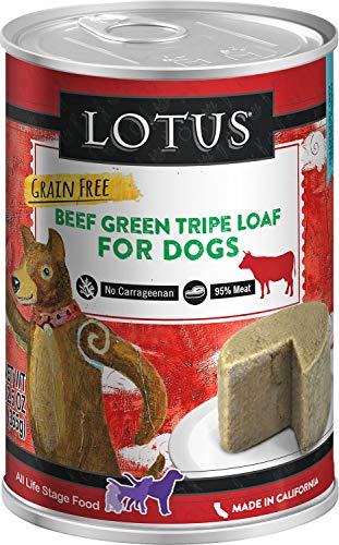 10 Best Canned Green Tripe For Dogs