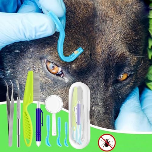 Hundemilben – Die 16 besten Produkte im Vergleich - HundeINFOPortal