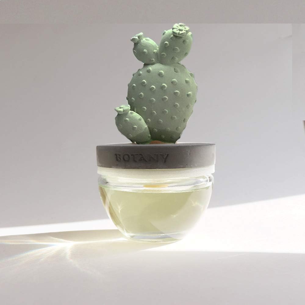 Amazon.co.jp: ダルトン(Dulton) 芳香剤 カクタス フレグランス ディフューザー 高さ150×直径90mm 100ml スタイルタイプA エレガントピオニーの香り ...