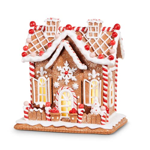 Amazon.com: RAZ Imports Jingle & Cocoa Lighted Gingerbread House, 9 ...