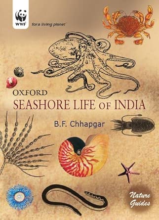 Buy Seashore Life of India (WWF Natures Guide) Book Online at Low ...