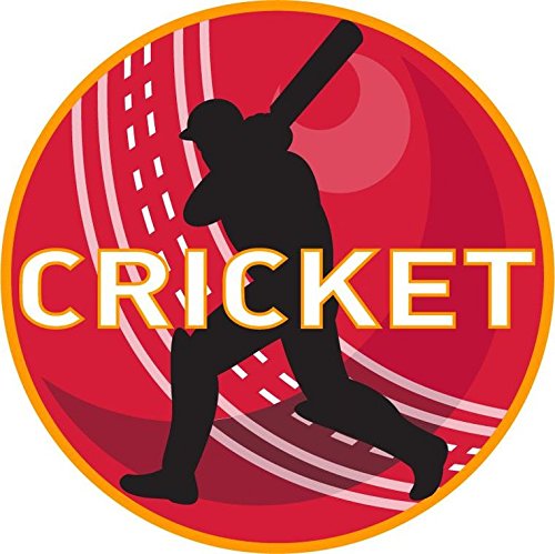 Snapklik.com : Cricket Sport Ball Player Sticker Decal Design