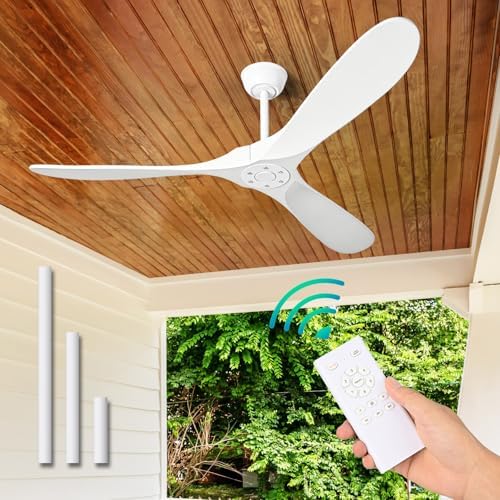 Amazon.com: DELIHUA 60 Inch Outdoor Ceiling Fan no Light,6 Speed Remote ...