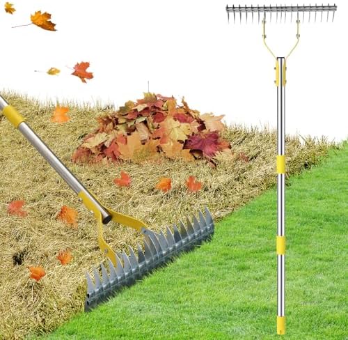 Amazon.com : Thatch Rake, 2 in 1 Stainless Steel Garden Rake for Thatch ...