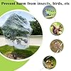 Amazon.com : 10'x10' Large Fruit Tree Netting Cover for Squirrels and Birds with Zipper, Fruit ...