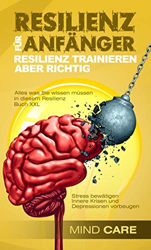 Resilienz: Resilienz für Anfänger - Resilienz trainieren aber richtig ...