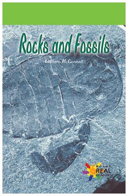 Rocks and Fossils : Buy Online at Best Price in KSA - Souq is now ...