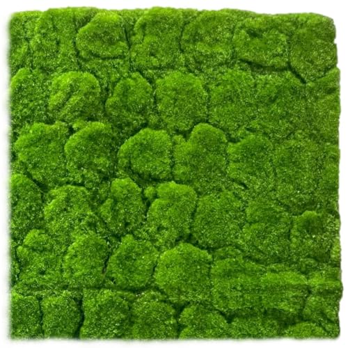 Artificial moss carpet - The 15 best products in comparison - Aquaristics