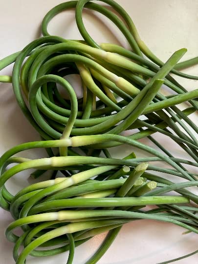 Amazon.com: Fresh garlic scapes for cooking 3LB - SEASONAL ITEM Order ...