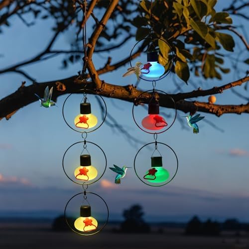 Amazon.com : Headak Life Hummingbird Feeder and Bird Bath for Outdoors ...