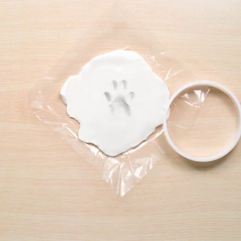 Watch Pearhead Pet Paw Prints Dog Or Cat Paw Print Holiday Keepsake ...