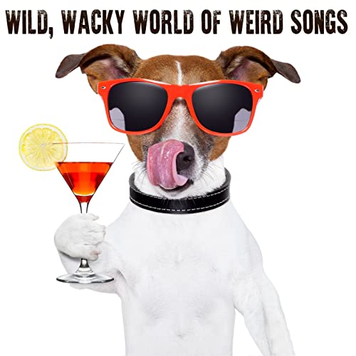 Play Wild, Wacky World of Weird Songs by VARIOUS ARTISTS on Amazon Music