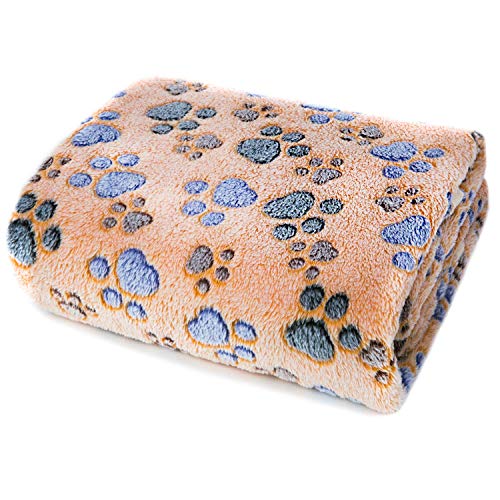 Le migliori copertine per cani - CaneLandia.it