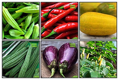 Creative Farmer Gardening Plant Seeds Combo Vegetable Seeds : Bhindi ...