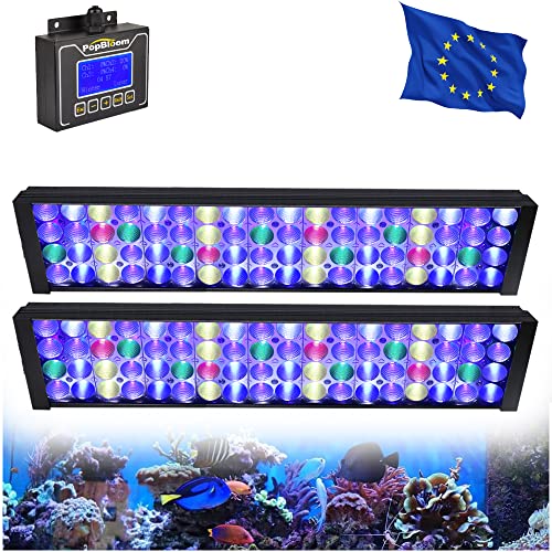 Iluminación de agua de mar - Los 15 mejores productos en comparación ...