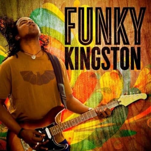 Funky Kingston: Reggae Dancefl: Various: Amazon.in: Music}