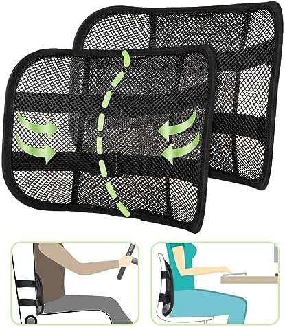Amazon.com: Lumbar Support with Breathable Mesh Layers and Double ...