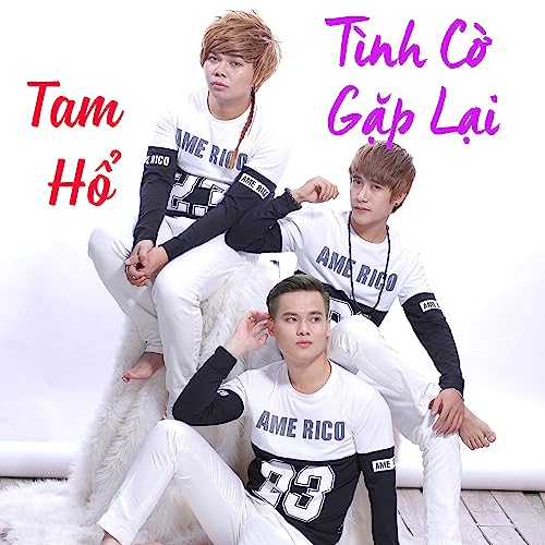 Play Tinh Co Gap Lai by Tam Ho on Amazon Music