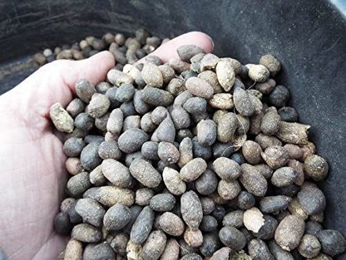 Dried Goat Dung Manure for Flowering Plants,Fruits & Vegetables-100% ...