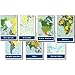 Amazon.com: Map of the Continents 7 Poster Set: Prints: Posters & Prints