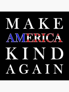Amazon.com - Make America Kind Again - Sticker Graphic - Political ...