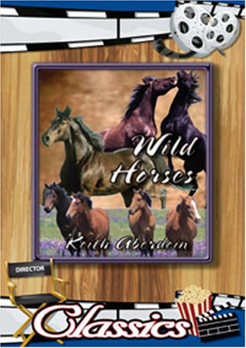 Amazon.com: Wild Horses : Keith Aberdein, John Bach and Robyn Gibbes ...