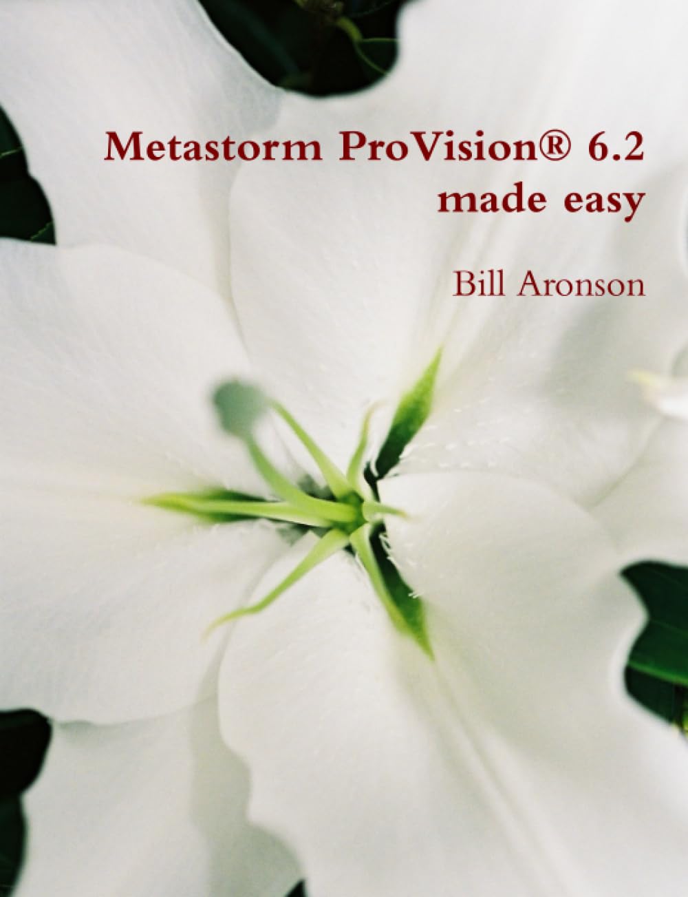 Metastorm ProVision 6.2 Made Easy: Aronson, Mr Bill: 9781445242002 ...