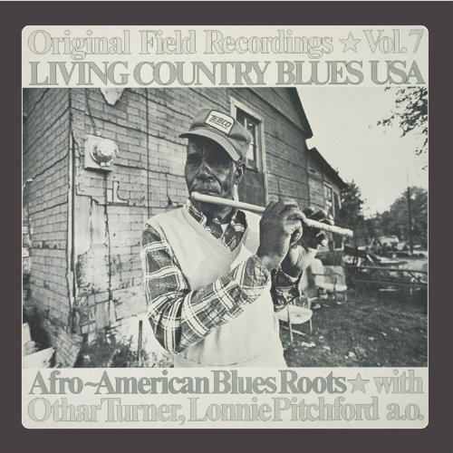 Play Living Country Blues USA, Vol. 7 - Afro-American Blues Roots by ...