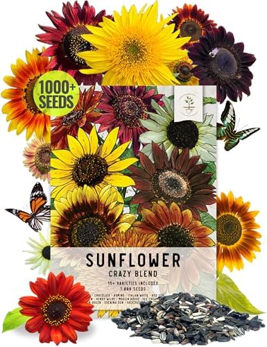 Amazon.com : 500+ Mixed Sunflower Seeds for Planting (15+ Varieties ...