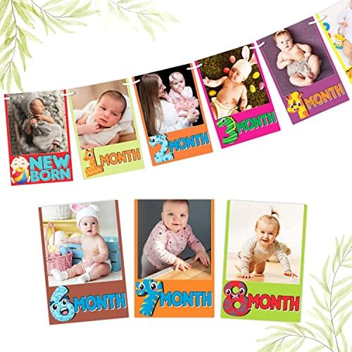 Party Propz 12 Months Photo Banner for Birthday - Butterfly Theme Photo ...