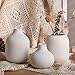 Amazon.com: Modern Minimalist White Ceramic Decor Vase Set of 3 ...